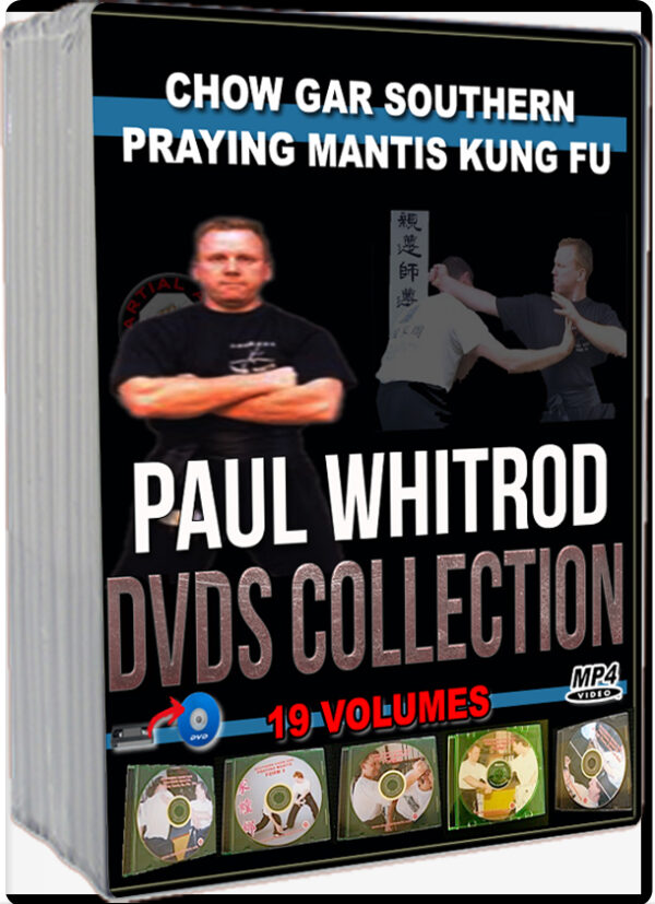 HENRY POO YEE - SOUTHERN PRAYING MANTIS KUNG FU - VIDEOFIGHT