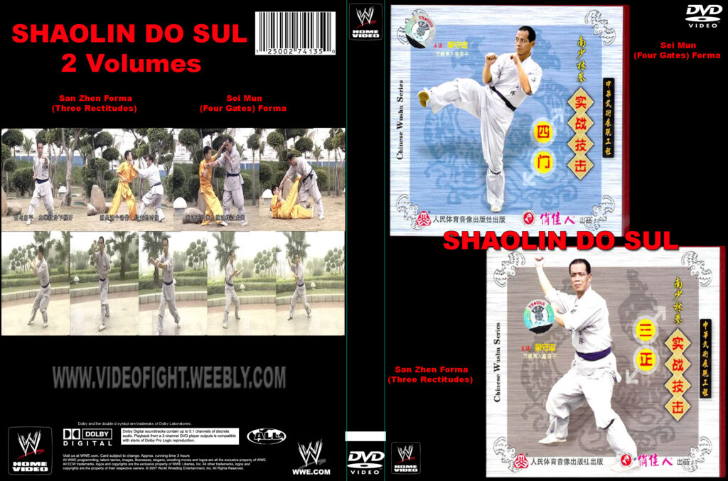 SOUTHERN SHAOLIN SERIES LUO HAN