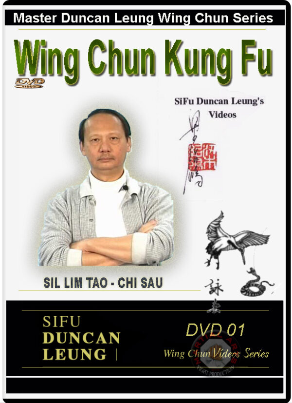 MASTER DUNCAN LEUNG - WING CHUN SERIES 01 - VIDEOFIGHT