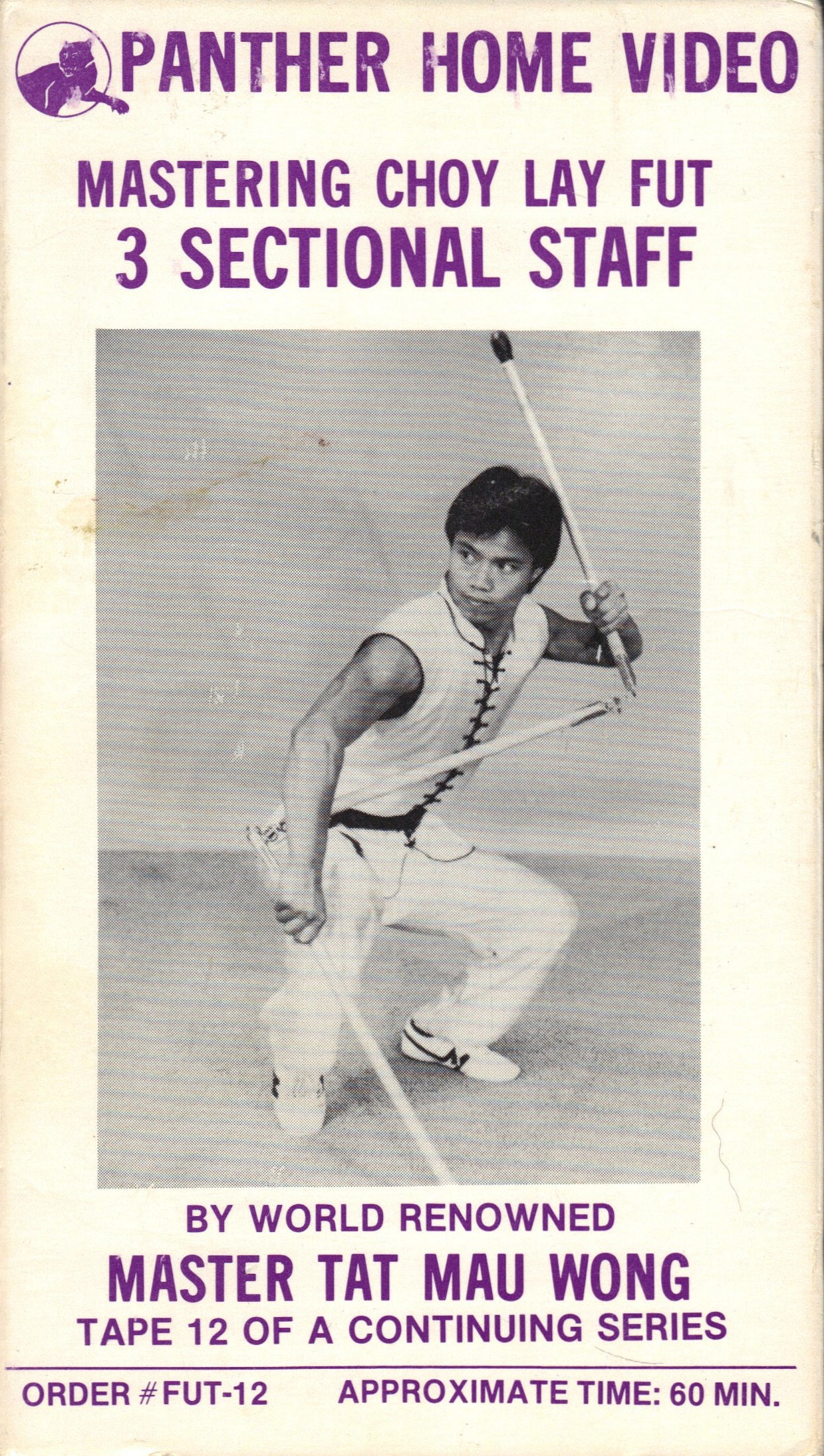 TAT MAU WONG - MASTERING CHOY LAY FUT KUNG FU