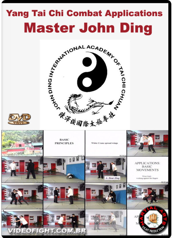 MASTER JOHN DING - YANG TAI CHI COMBAT APPLICATIONS - VIDEOFIGHT