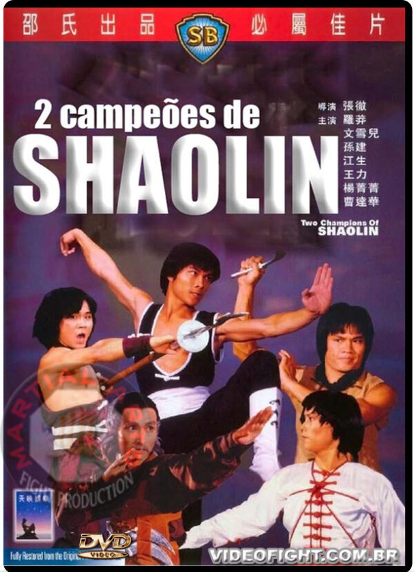(1980) DOIS CAMPEÕES DE SHAOLIN - VIDEOFIGHT