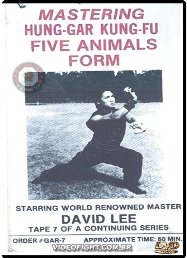 MASTERING HUNG GAR KUNG FU OF DAVID LEE - VOL.07 - VIDEOFIGHT