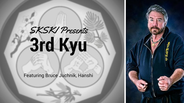 KOSHO RYU KENPO: 3RD KYU BROWN BELT