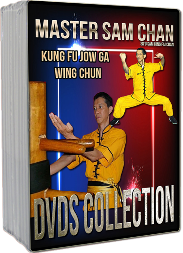MASTER SAM CHAN - DVDS COLLECTION - VIDEOFIGHT