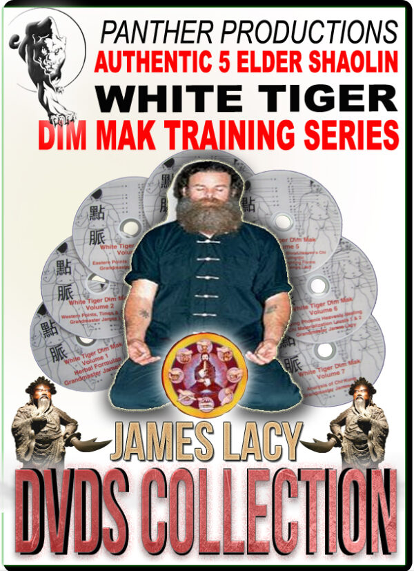 JAMES LACY - DIM MAK TRAINING SERIES DVDS COLLECTIONS - VIDEOFIGHT