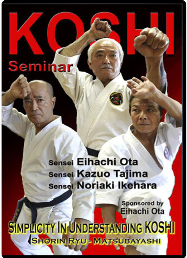 EIHACHI OTA - KOSHI SEMINAR - VIDEOFIGHT