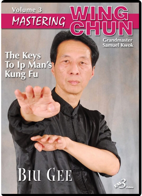 SAMUEL KWOK - MASTERING IP MAN WING CHUN - VOL.03 - VIDEOFIGHT