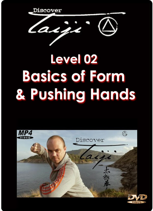 ADAM MIZNER - DISCOVER TAIJI - LEVEL 02 - VIDEOFIGHT