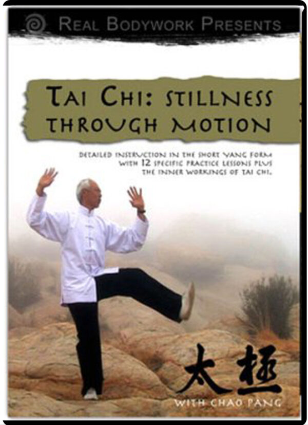 CHAO PANG - TAI CHI STILNESS THROUGH MOTION - VIDEOFIGHT