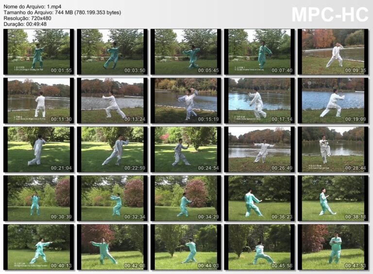 SITAN CHEN - TAI CHI QUAN SWORD PERFORMANCE