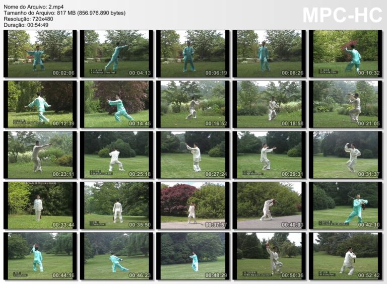 SITAN CHEN - TAI CHI QUAN SWORD PERFORMANCE