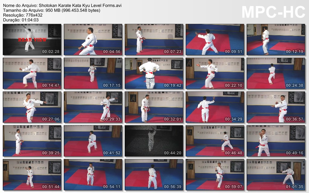 STEVE FLORES - SHOTOKAN KARATE VOL.01