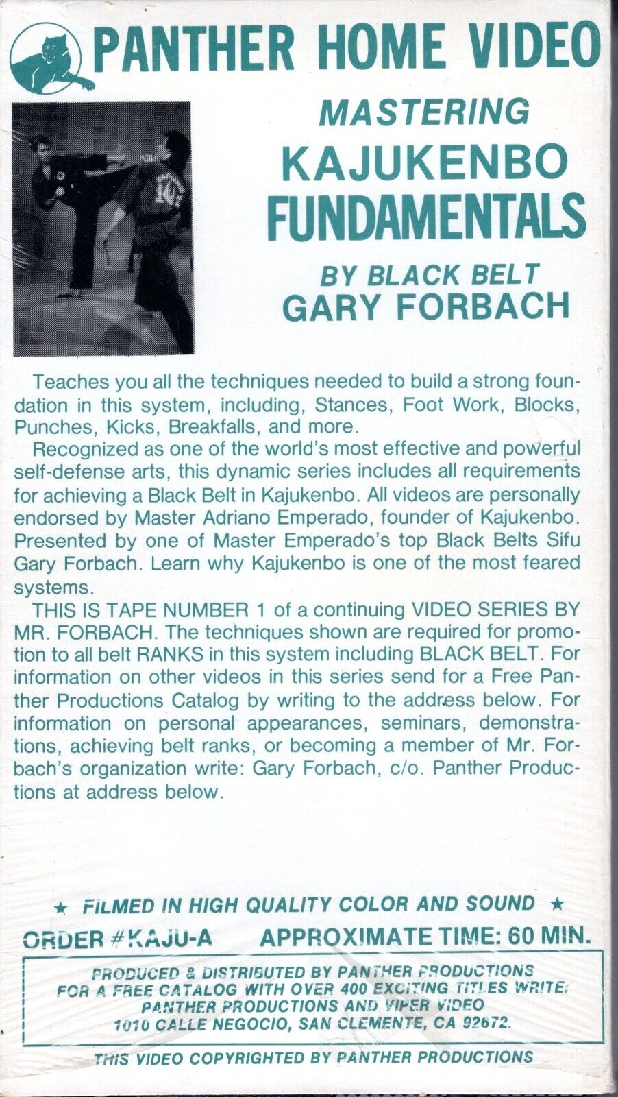 GARY FORBACH - MASTERING KAJUKENBO VOL.01 - VIDEOFIGHT