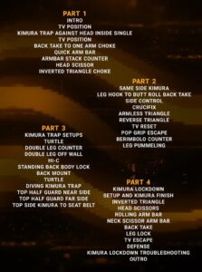 DAVID AVELLAN – THE KIMURA TRAP SYSTEM: ADVANCED