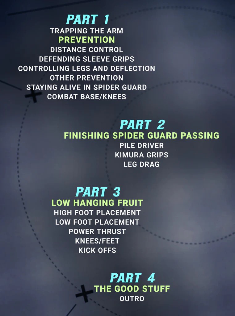 ANDREW WILTSE – SWAT THE SPIDER