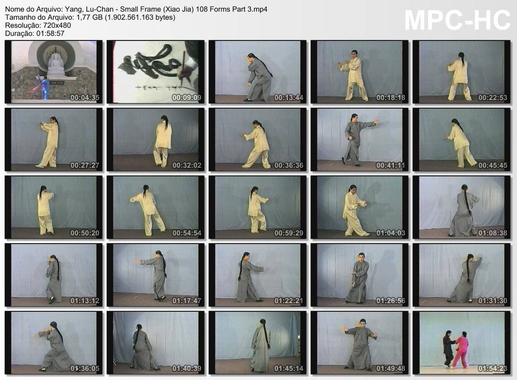 JIANG JIAN YE - YANG STYLE SMALL FRAME - XIAO JIA