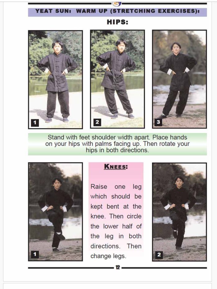 SIMON WONG - YELLOW DRAGON FIST KUNG FU LEVEL 01 PDF