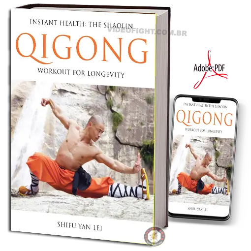 SHIFU YAN LEI - INSTANT HEALTH- THE SHAOLIN QIGONG PDF