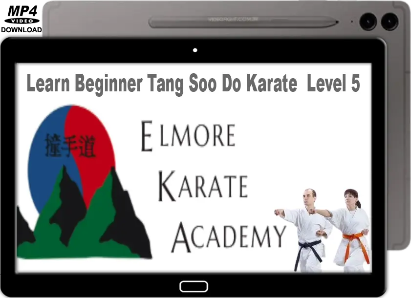 STEVEN ELMORE – LEARN BEGINNER TANG SOO DO KARATE – LEVEL 05