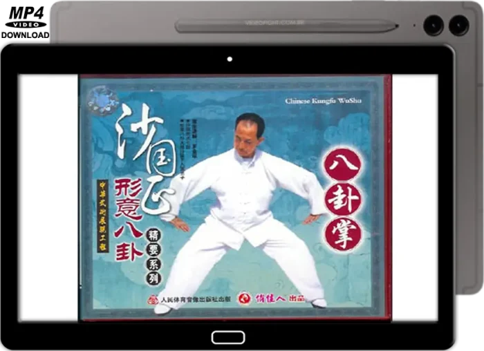 JIANG RONG JIAO - BAGUA - JIANG STYLE BAGUA PALM