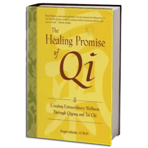 ROGER JAHNKE - THE HEALING PROMISE OF QI PDF